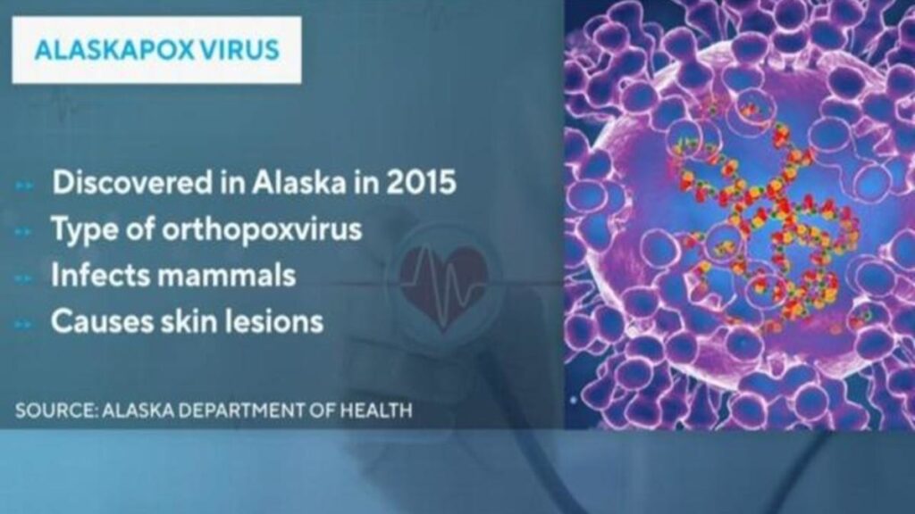 "Understanding Alaskapox: Symptoms, Transmission, And Precautions For ...