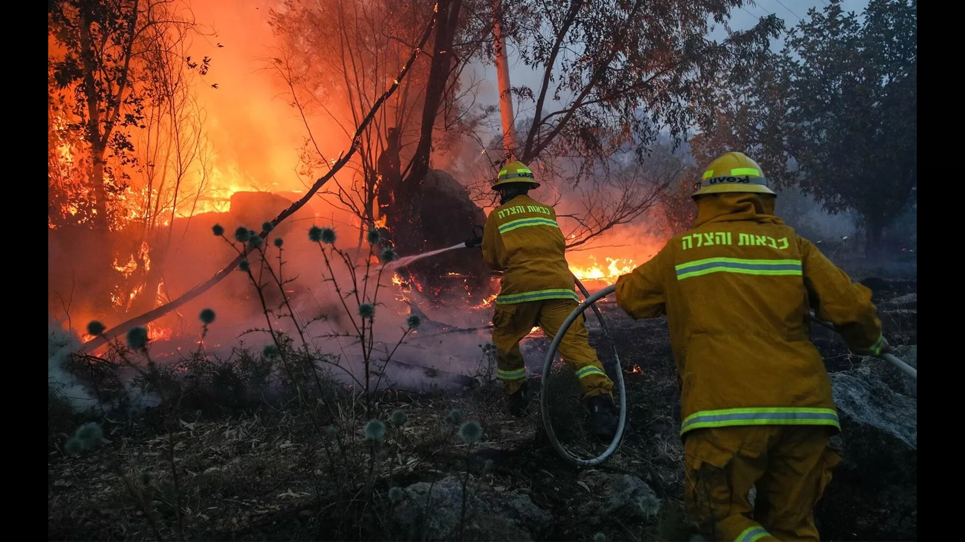 Israel Wildfires 2025: Netanyahu Declares National Emergency As Fires ...